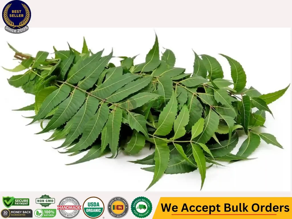 Buy Organic Arbol de Neem | Neem Tea | Premium Powdered Neem Leaves ...